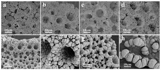 Highly Efficient Spatial Three-Level CoP@ZIF-8/pNF Based on Modified ...