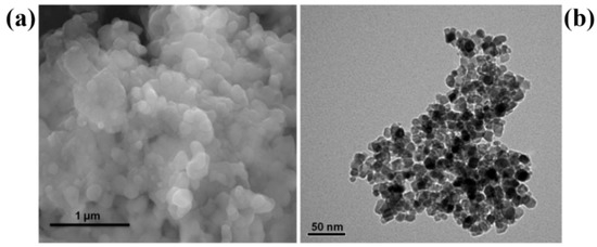 Recent Advancements in TiO2 Nanostructures: Sustainable Synthesis and ...