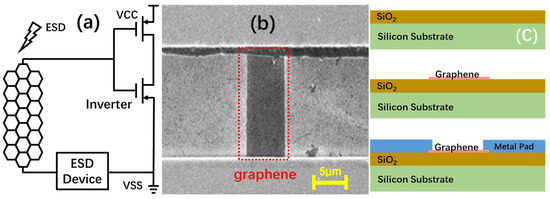 Graphene-Based ESD Protection for Future ICs
