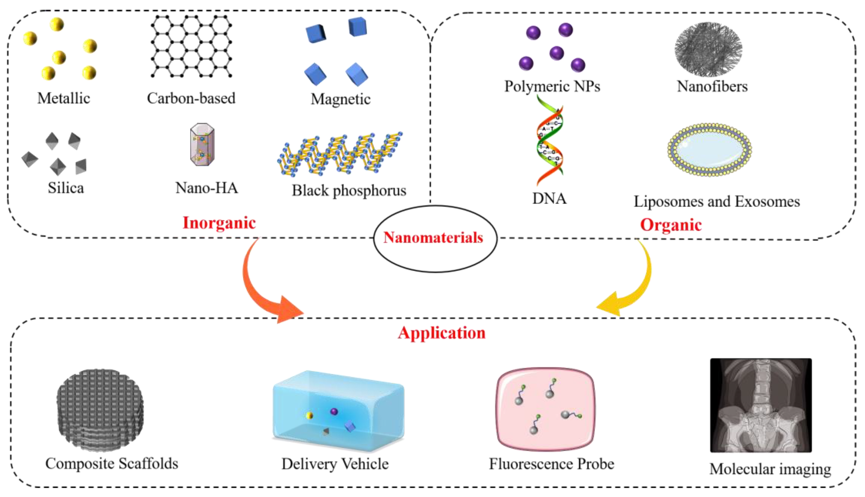Tissue-Engineered Nanomaterials Play Diverse Roles in Bone Injury Repair