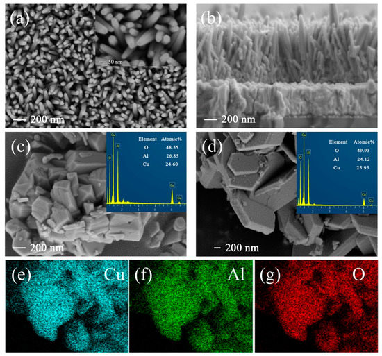 Nanomaterials | Free Full-Text | Enhanced Spectral Response of ZnO-Nanorod-Array-Based ...