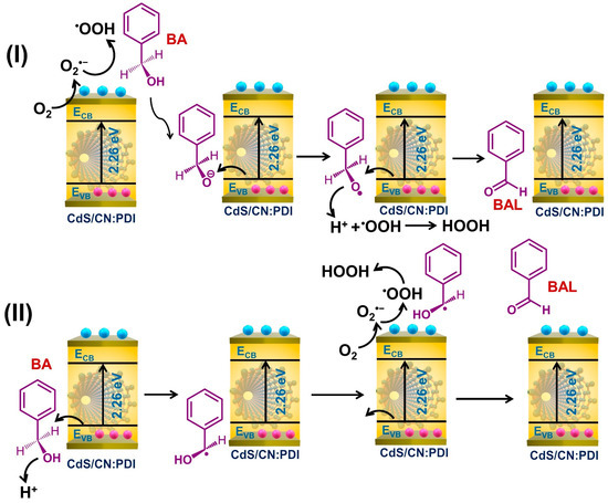 Radial Nano-Heterojunctions Consisting of CdS Nanorods Wrapped by 2D CN ...