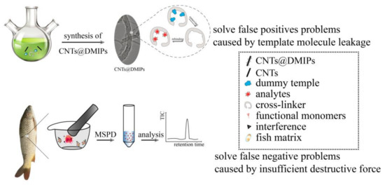 Carbon Nanotube-Supported Dummy Template Molecularly Imprinted Polymers ...