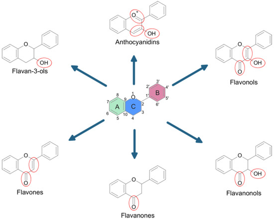 Metal Nanoparticle-Flavonoid Connections: Synthesis, Physicochemical ...
