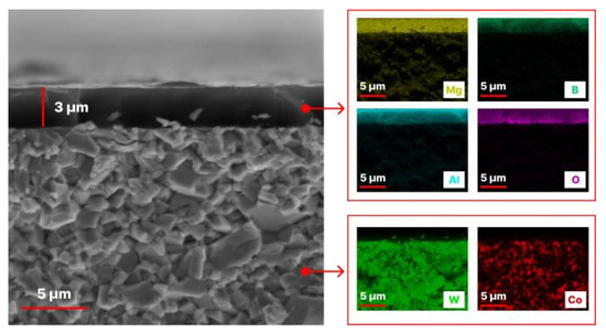 Structure and Frictional Properties of Ultrahard AlMgB14 Thin Coatings