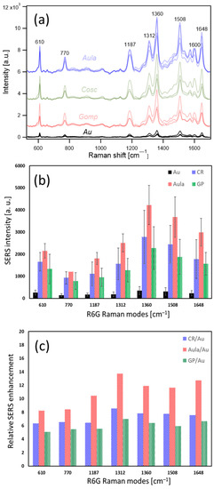 Tuning SERS Signal via Substrate Structuring: Valves of Different ...