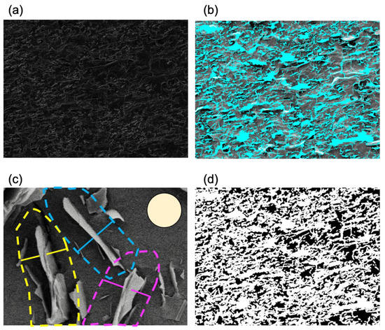 Nanomaterials | Free Full-Text | Automated Prediction of Bacterial Exclusion Areas on SEM Images ...