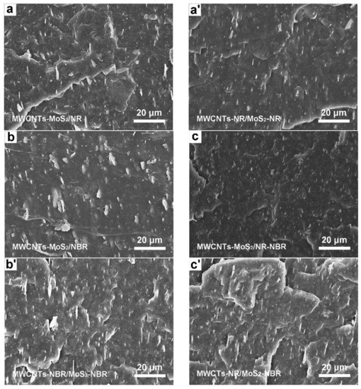 Morphology and Microwave-Absorbing Performances of Rubber Blends with ...