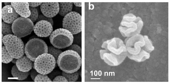 Polydopamine Nanomaterials for Overcoming Current Challenges in Cancer ...