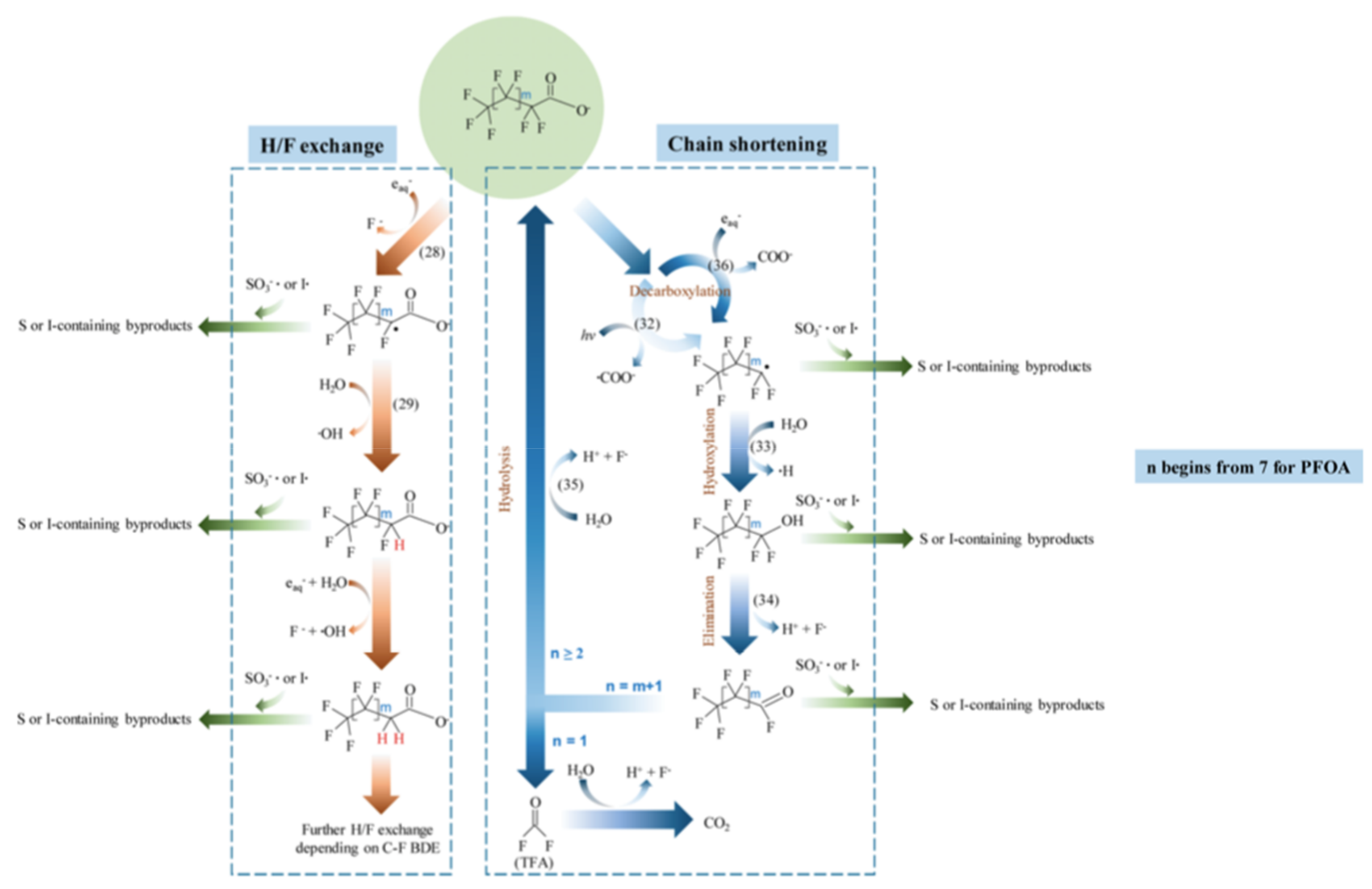 Nanomaterial-Based Advanced Oxidation/Reduction Processes for the ...