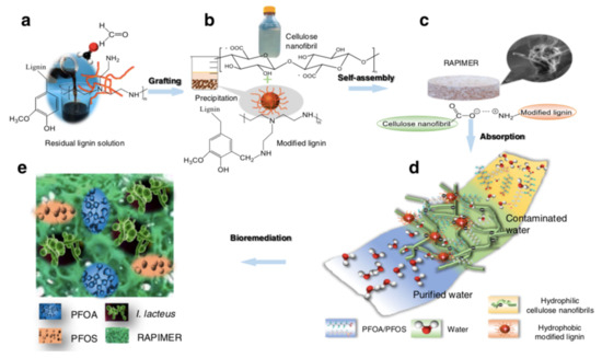 Nanomaterial-Based Advanced Oxidation/Reduction Processes for the ...