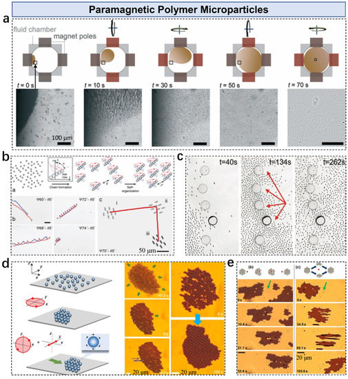 Active Micro/Nanoparticles in Colloidal Microswarms