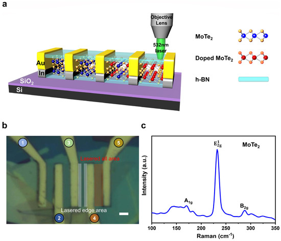 Conversion of Charge Carrier Polarity in MoTe2 Field Effect Transistor ...