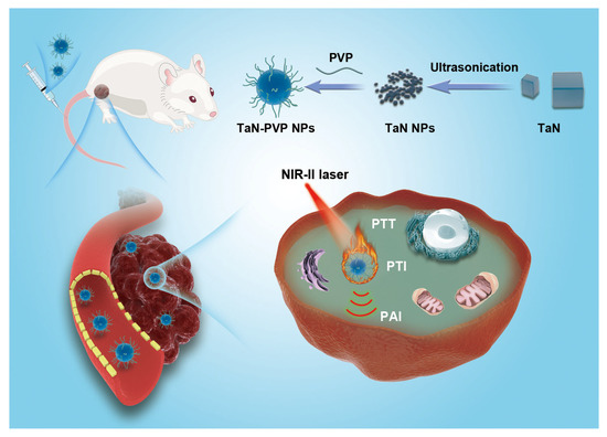 Tantalum Nitride-Based Theranostic Agent for Photoacoustic Imaging ...