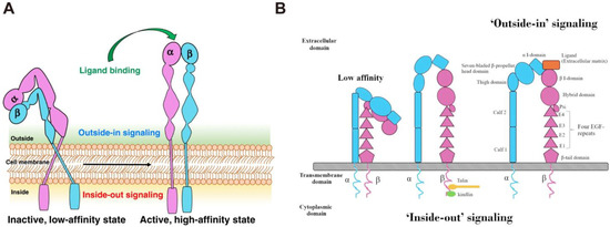 The Role of Integrins for Mediating Nanodrugs to Improve Performance in ...