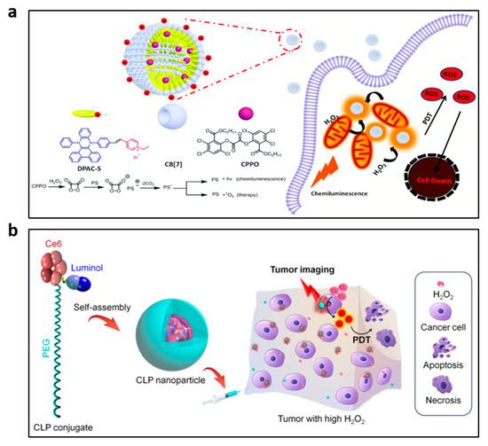 Recent Advances in Nanomaterial-Based Chemiluminescence Probes for ...