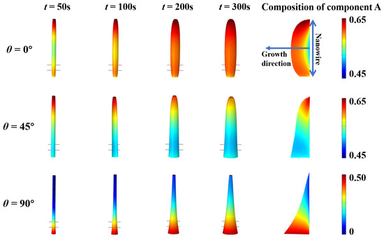 Shape and Composition Evolution in an Alloy Core–Shell Nanowire ...