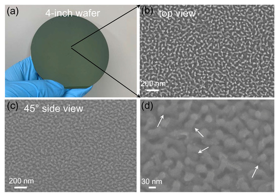 Wafer-Level Highly Dense Metallic Nanopillar-Enabled High-Performance ...