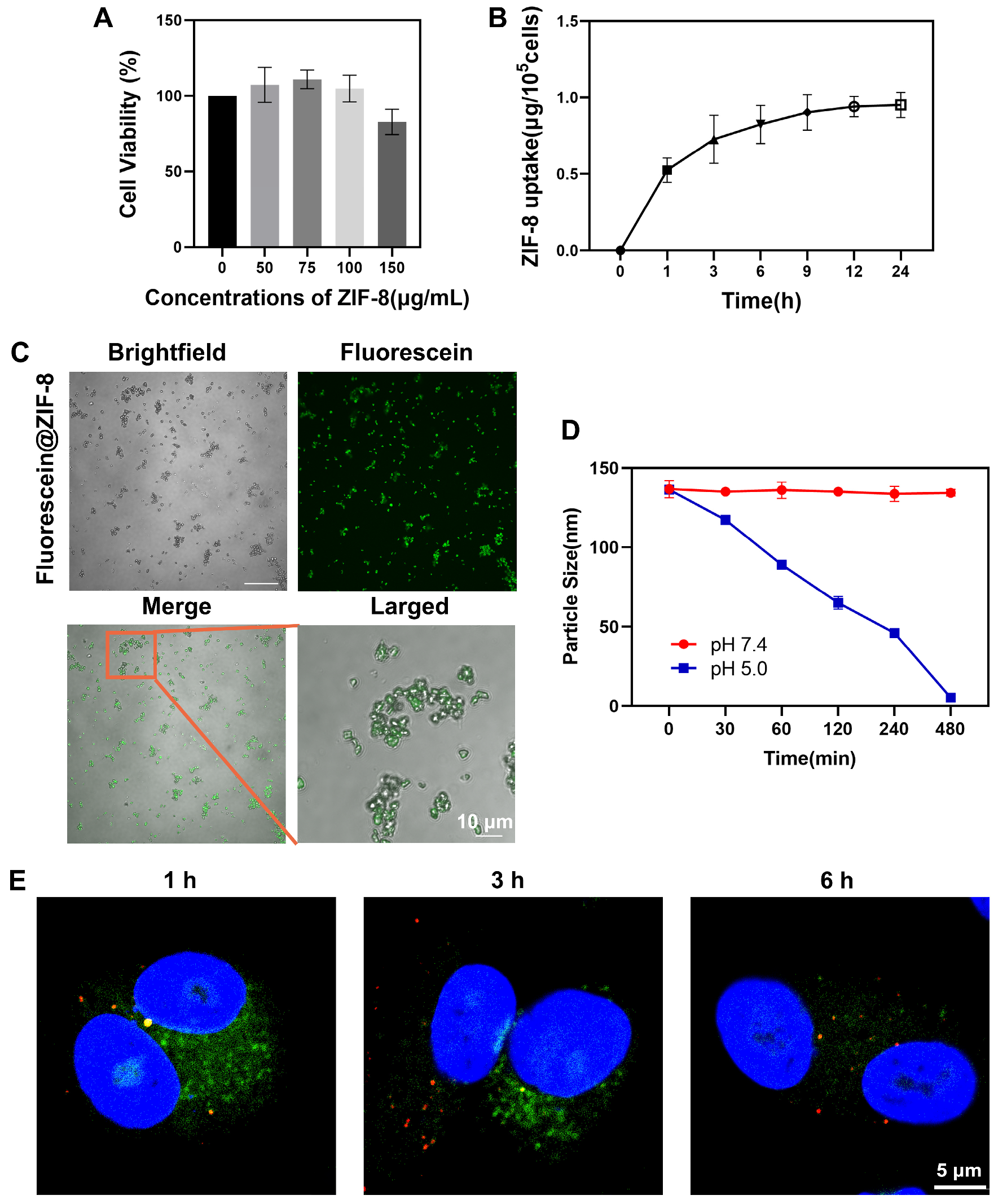Zeolitic Imidazolate Framework-8 (ZIF-8) as a Drug Delivery Vehicle for ...