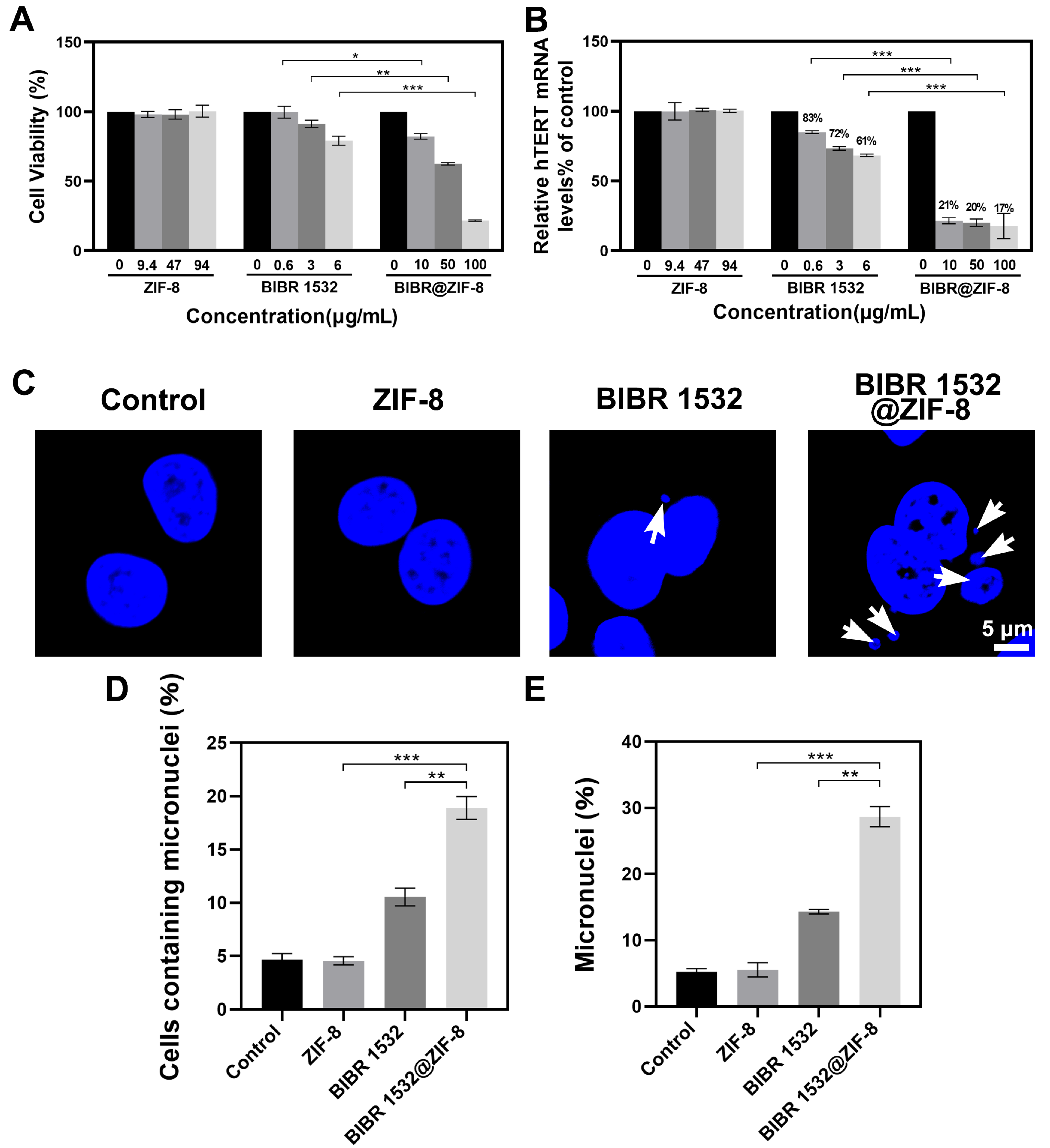 Zeolitic Imidazolate Framework-8 (ZIF-8) as a Drug Delivery Vehicle for ...