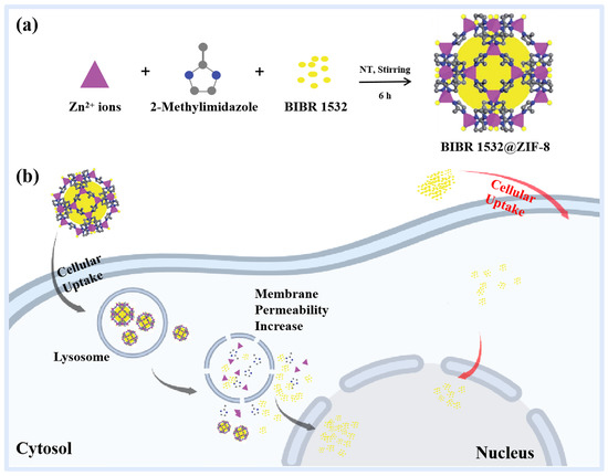 Zeolitic Imidazolate Framework-8 (ZIF-8) as a Drug Delivery Vehicle for the Transport and ...