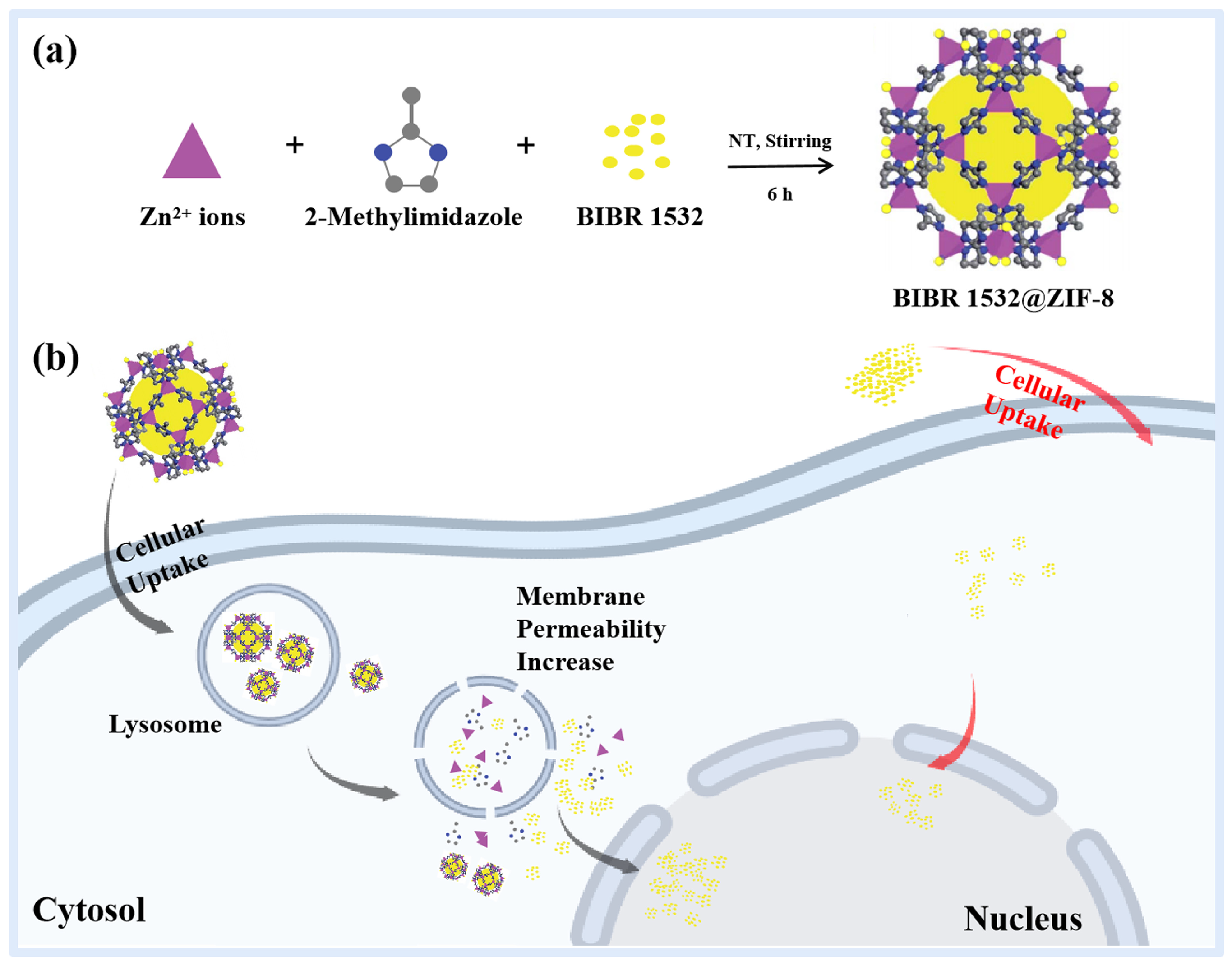 Zeolitic Imidazolate Framework-8 (ZIF-8) as a Drug Delivery Vehicle for ...
