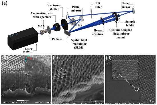 Laser Interference Lithography—A Method for the Fabrication of ...