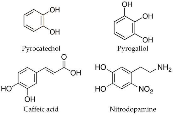 The Influence of Catechols on the Magnetization of Iron Oxide Nanoparticles