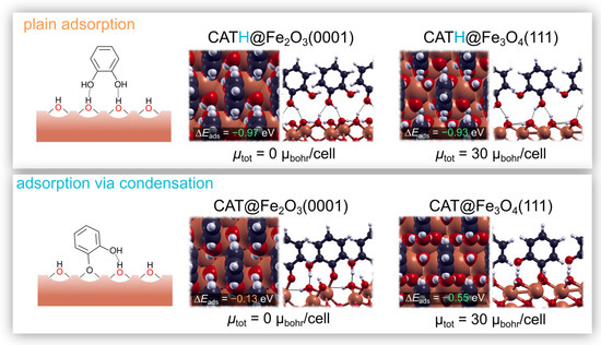 The Influence of Catechols on the Magnetization of Iron Oxide Nanoparticles