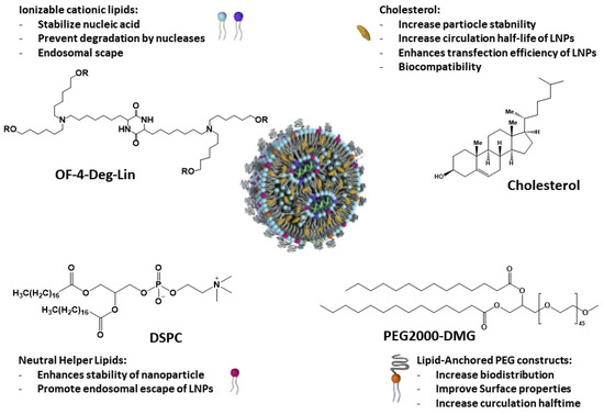 An Overview of the Use of Nanoparticles in Vaccine Development