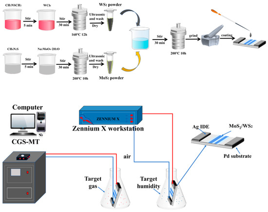 Highly Selective NH3 Sensor Based on MoS2/WS2 Heterojunction
