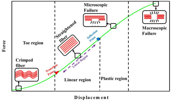 Bioactive Nanostructured Scaffold-Based Approach for Tendon and ...