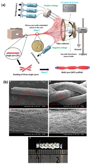 Bioactive Nanostructured Scaffold-Based Approach for Tendon and Ligament Tissue Engineering