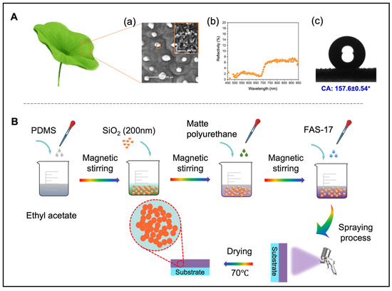 Multifunctional Biomimetic Composite Coating with Antireflection, Self-Cleaning and Mechanical ...