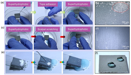 Multifunctional Biomimetic Composite Coating with Antireflection, Self-Cleaning and Mechanical ...