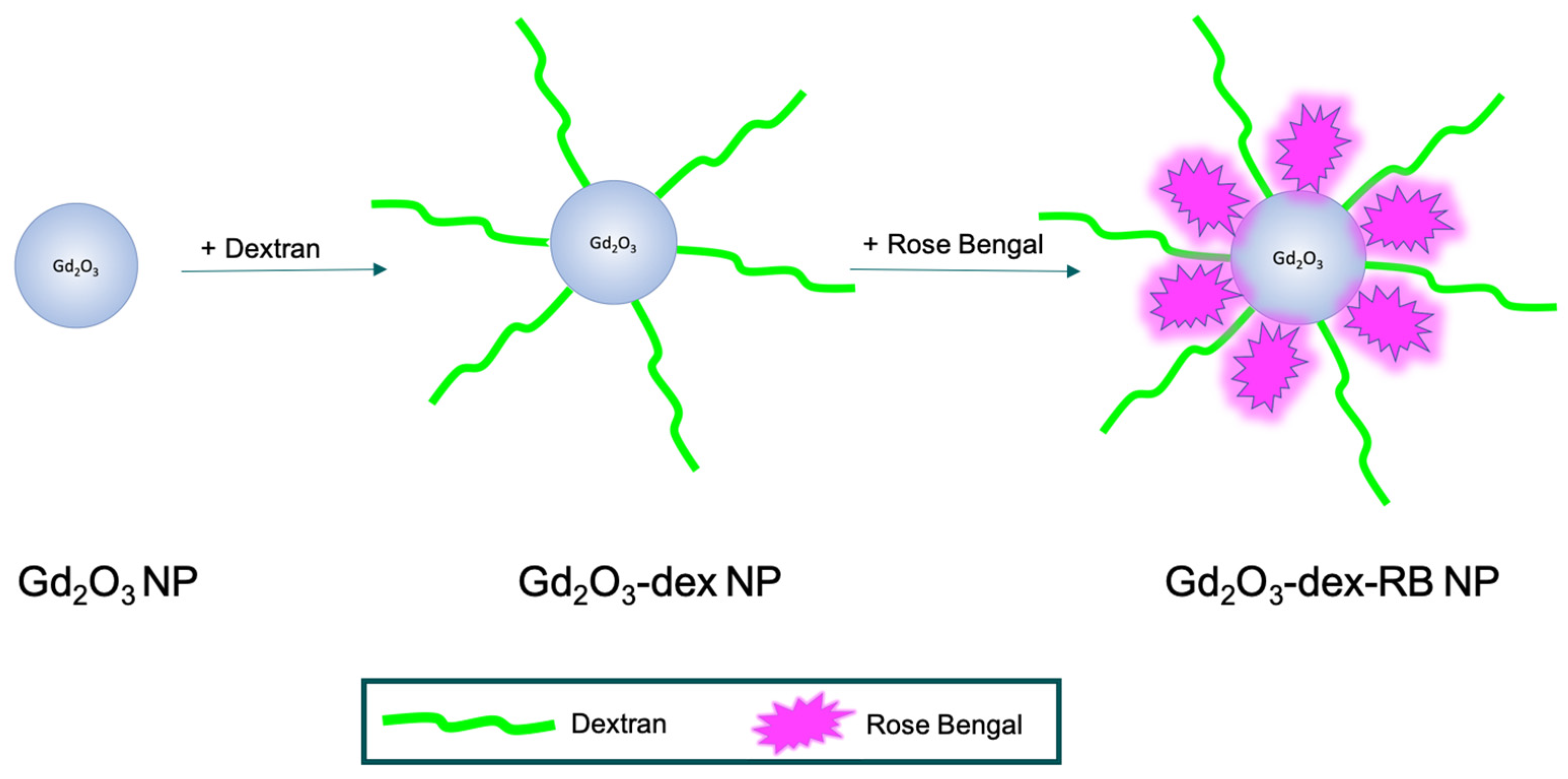 Nanomaterials | Free Full-Text | Dual Labeling of Primary Cells with Fluorescent Gadolinium ...