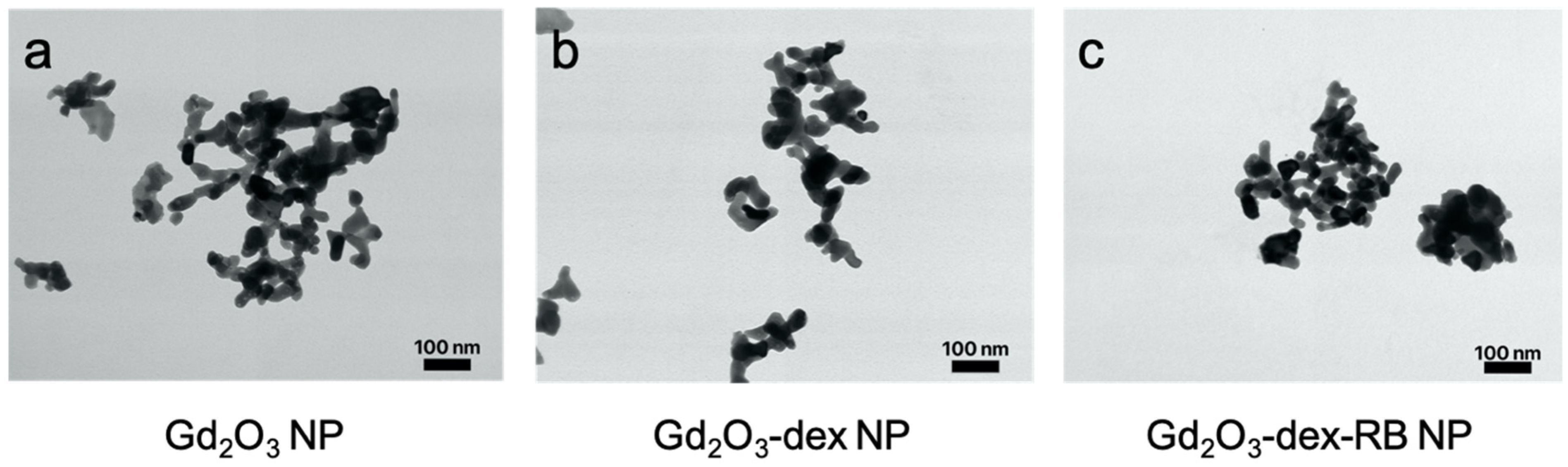 Nanomaterials | Free Full-Text | Dual Labeling of Primary Cells with Fluorescent Gadolinium ...