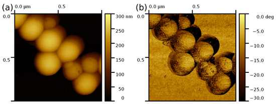 Quantitative Elasticity Mapping of Submicron Silica Hollow Particles by ...