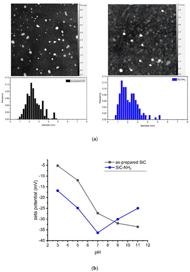 Amino-Termination of Silicon Carbide Nanoparticles