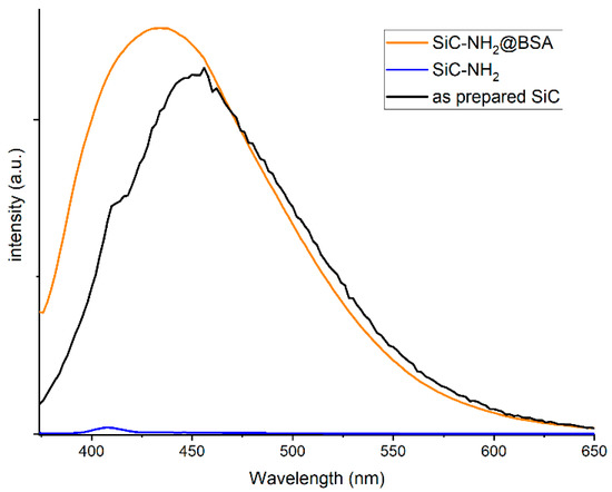 Amino-Termination of Silicon Carbide Nanoparticles