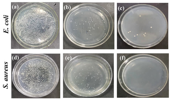 Fabrication and Characterization of Polylactic Acid Electrospun Wound Dressing Modified with ...