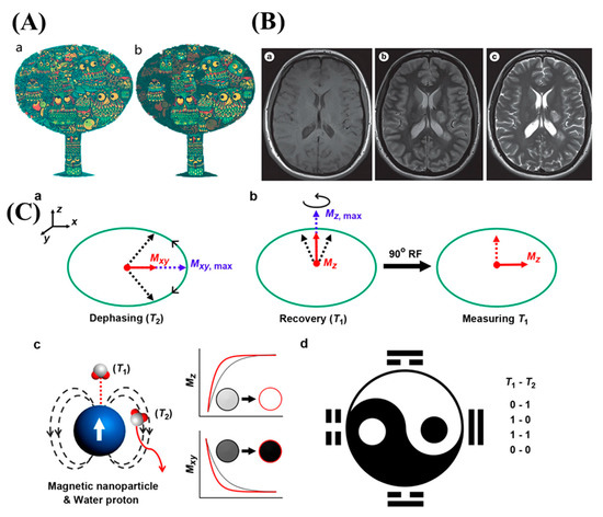 Contrast Agents of Magnetic Resonance Imaging and Future Perspective
