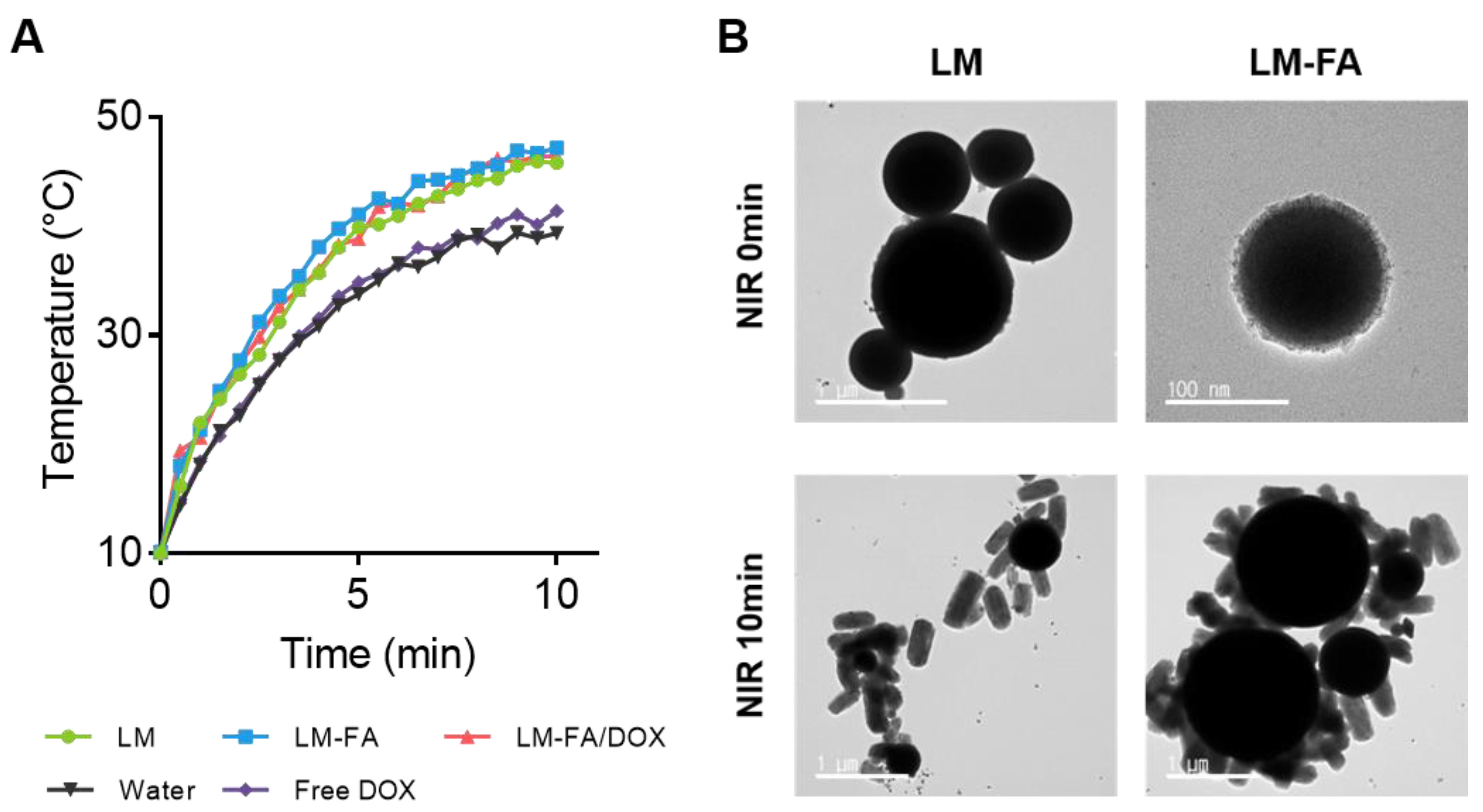 Liquid-Metal Core–Shell Particles Coated with Folate and Phospholipids ...