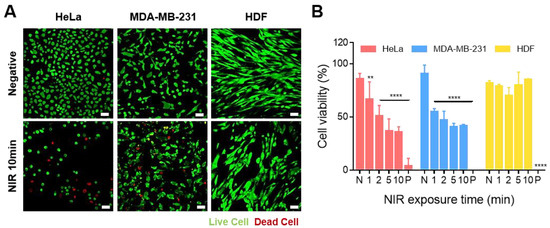 Liquid-Metal Core–Shell Particles Coated with Folate and Phospholipids ...