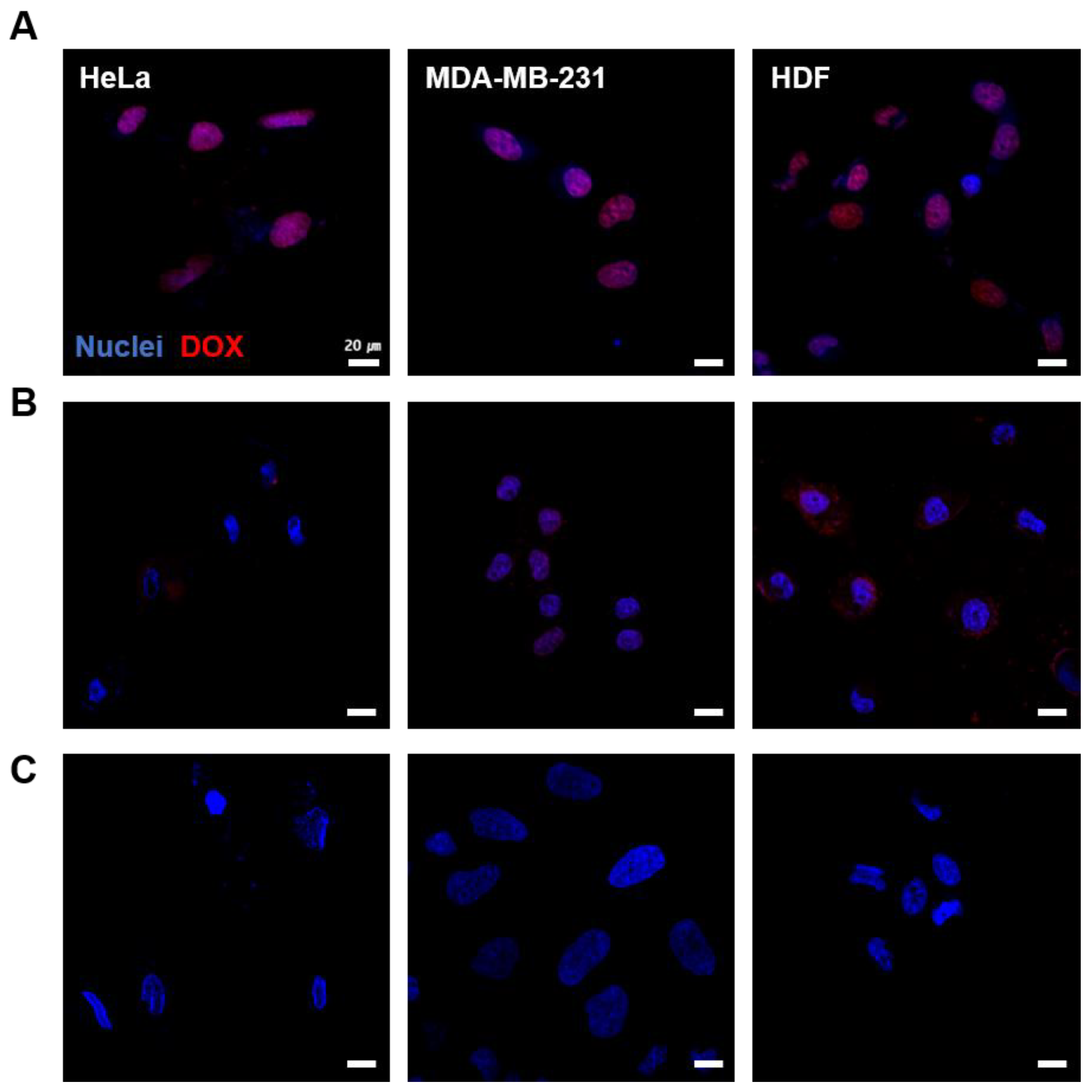 Liquid-Metal Core–Shell Particles Coated with Folate and Phospholipids ...