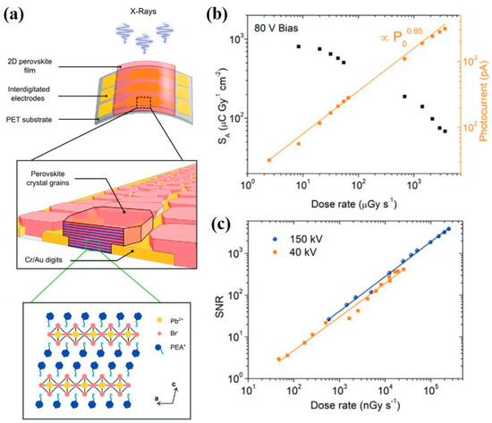 Perovskite-Based X-ray Detectors