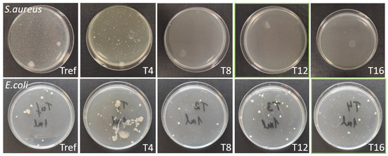 Effect of Femtosecond Laser-Irradiated Titanium Plates on Enhanced ...