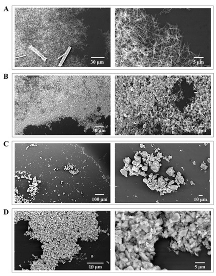 Preparation and Characterization of Metal–Organic Framework Coatings ...