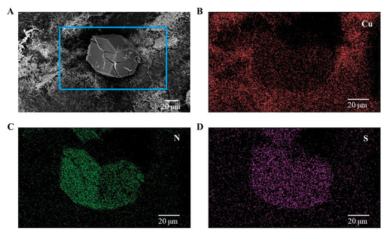 Preparation and Characterization of Metal–Organic Framework Coatings ...