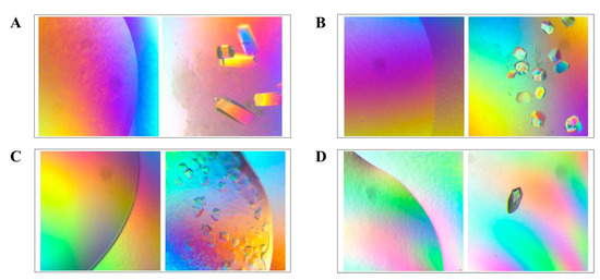 Preparation and Characterization of Metal–Organic Framework Coatings ...